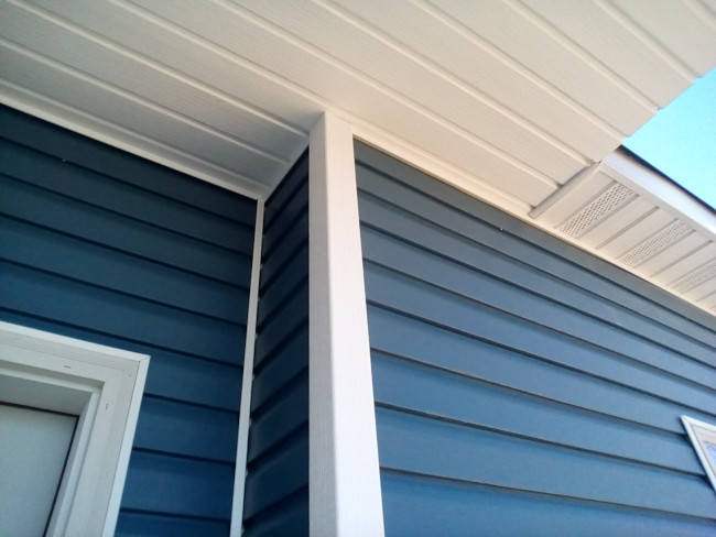 Siding Washing: The Hidden Dangers of Mold and Mildew on Your Siding ...